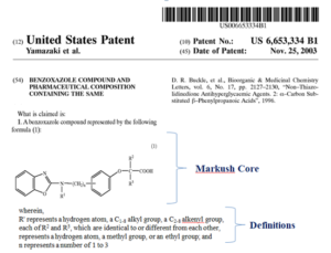 The Role of Markush Structure Searches in Patent Protection and ...