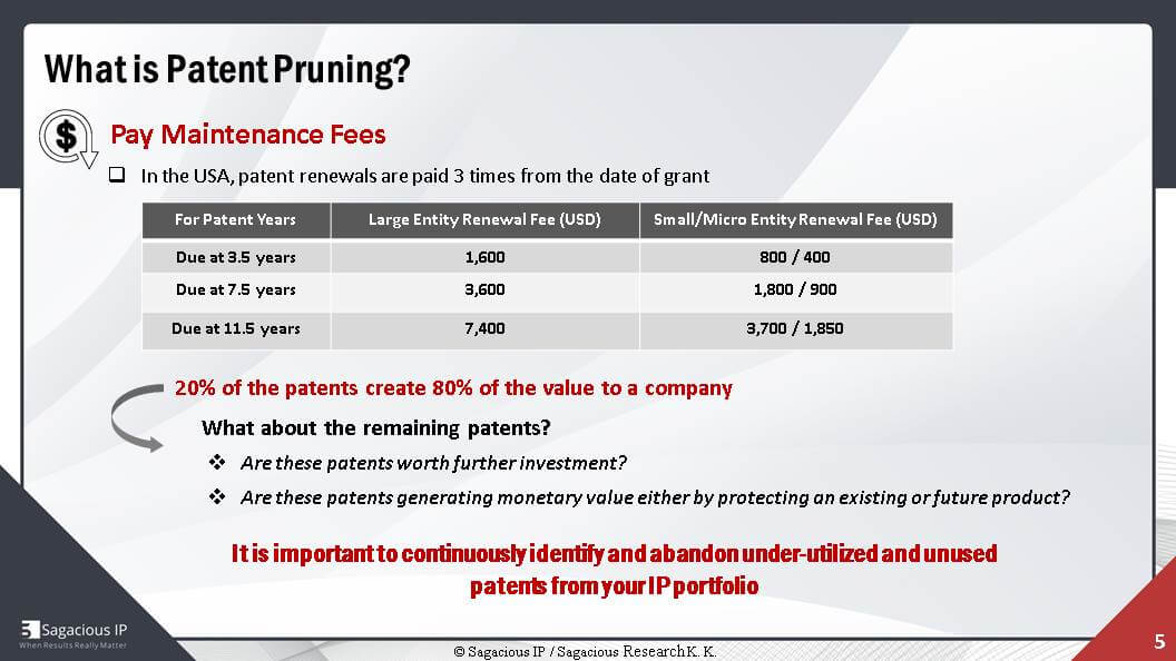 Patent Portfolio Pruning: Realizing Immediate Cost Savings