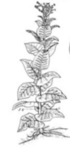 Engineering versus Patent Drawings: Understanding the Difference ...